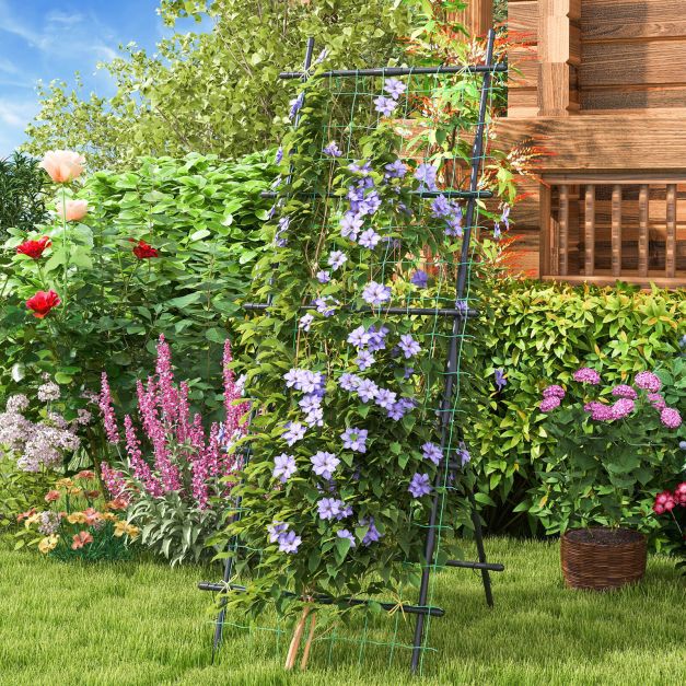 Vertical Garden Supports VidaXL Garden Plant Supports With 3 Rings 5